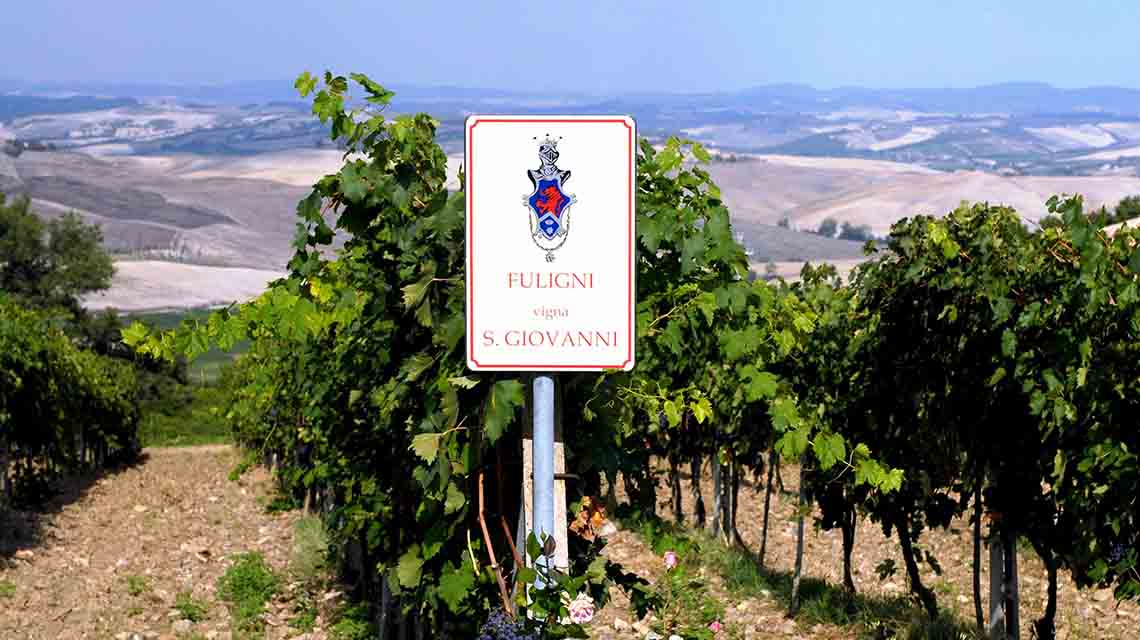 fuligni-vineyard – The Wine Merchant Thailand